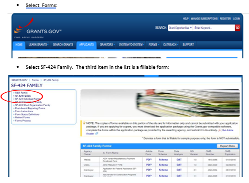 Which version of the Application for Federal Assistance, also known as ...